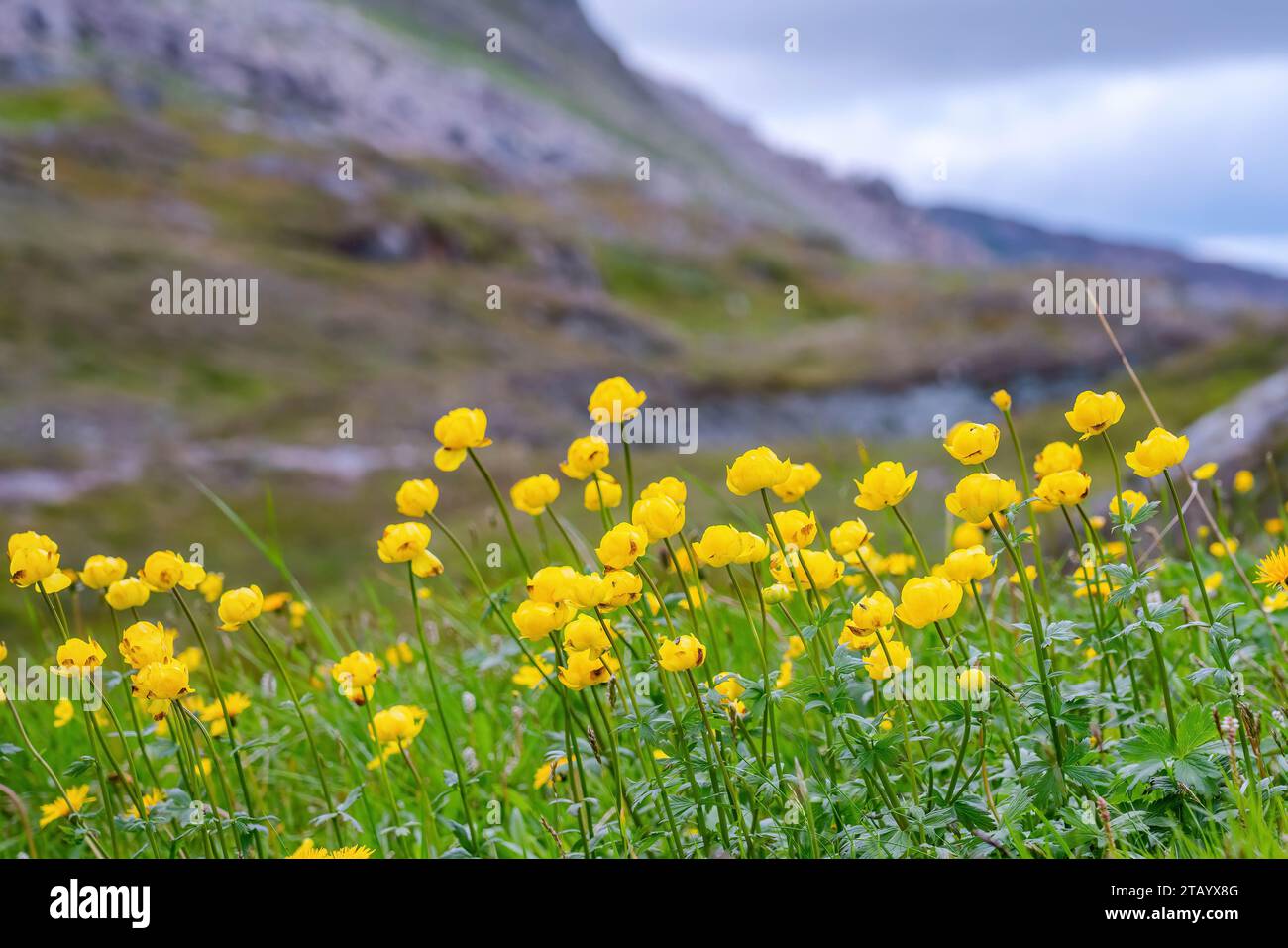 Krutvatnet hi-res stock photography and images - Alamy