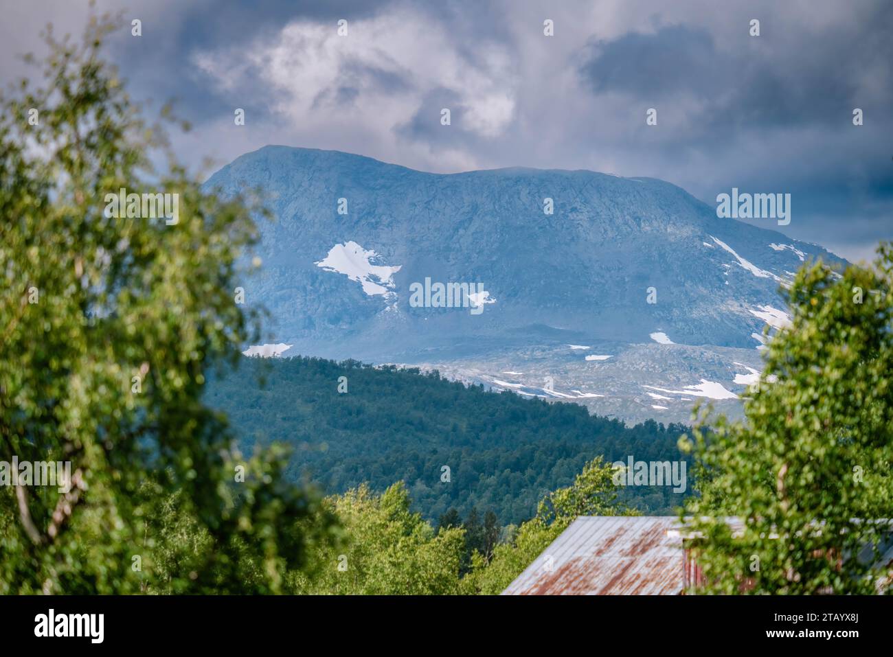Zoomed in photo hi-res stock photography and images - Alamy