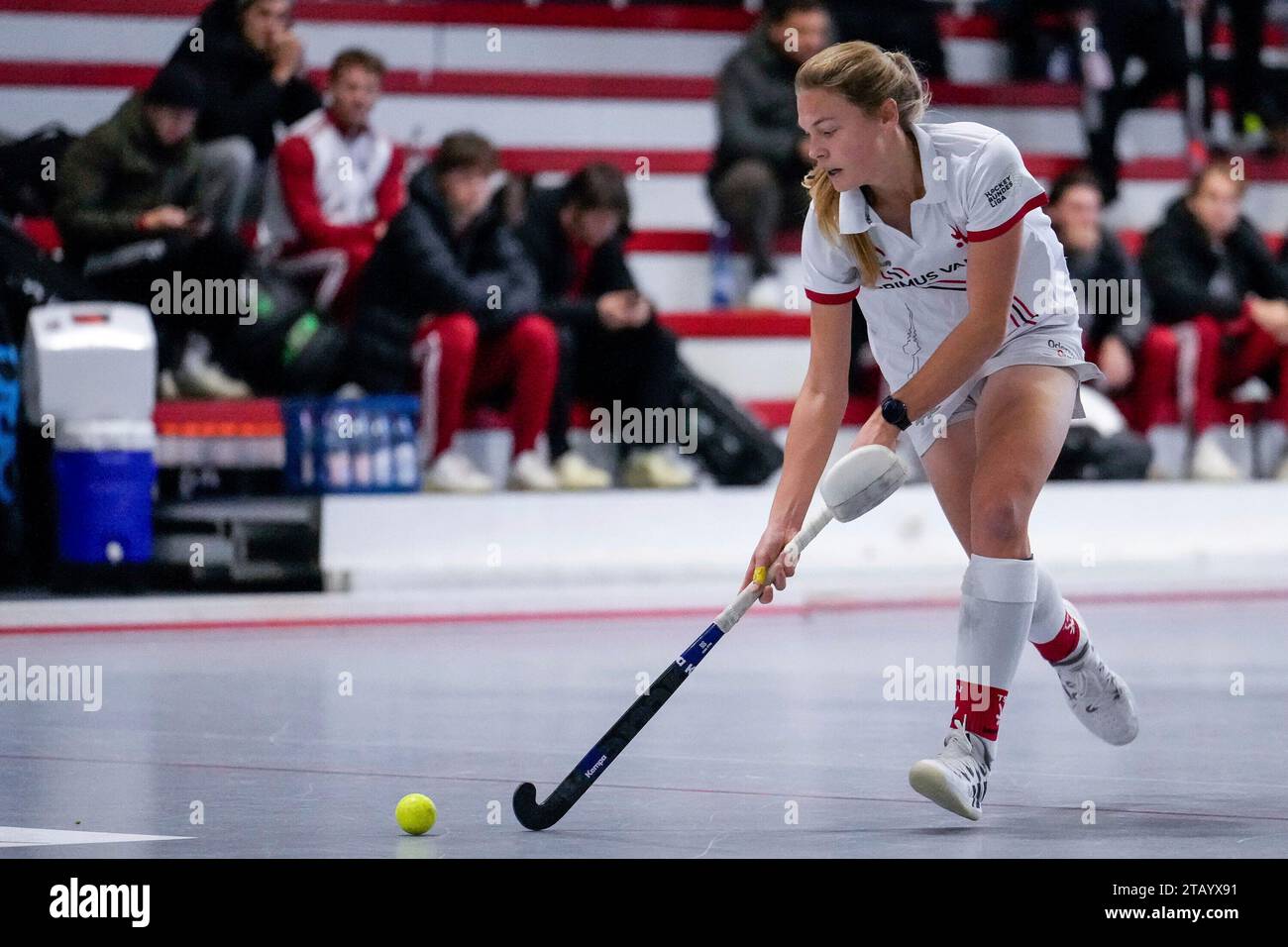 Primus valor arena hi-res stock photography and images - Alamy