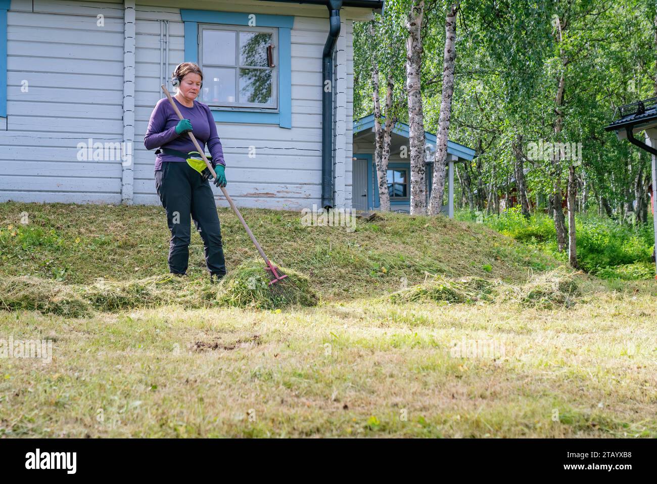 Lawn rake hi-res stock photography and images - Alamy