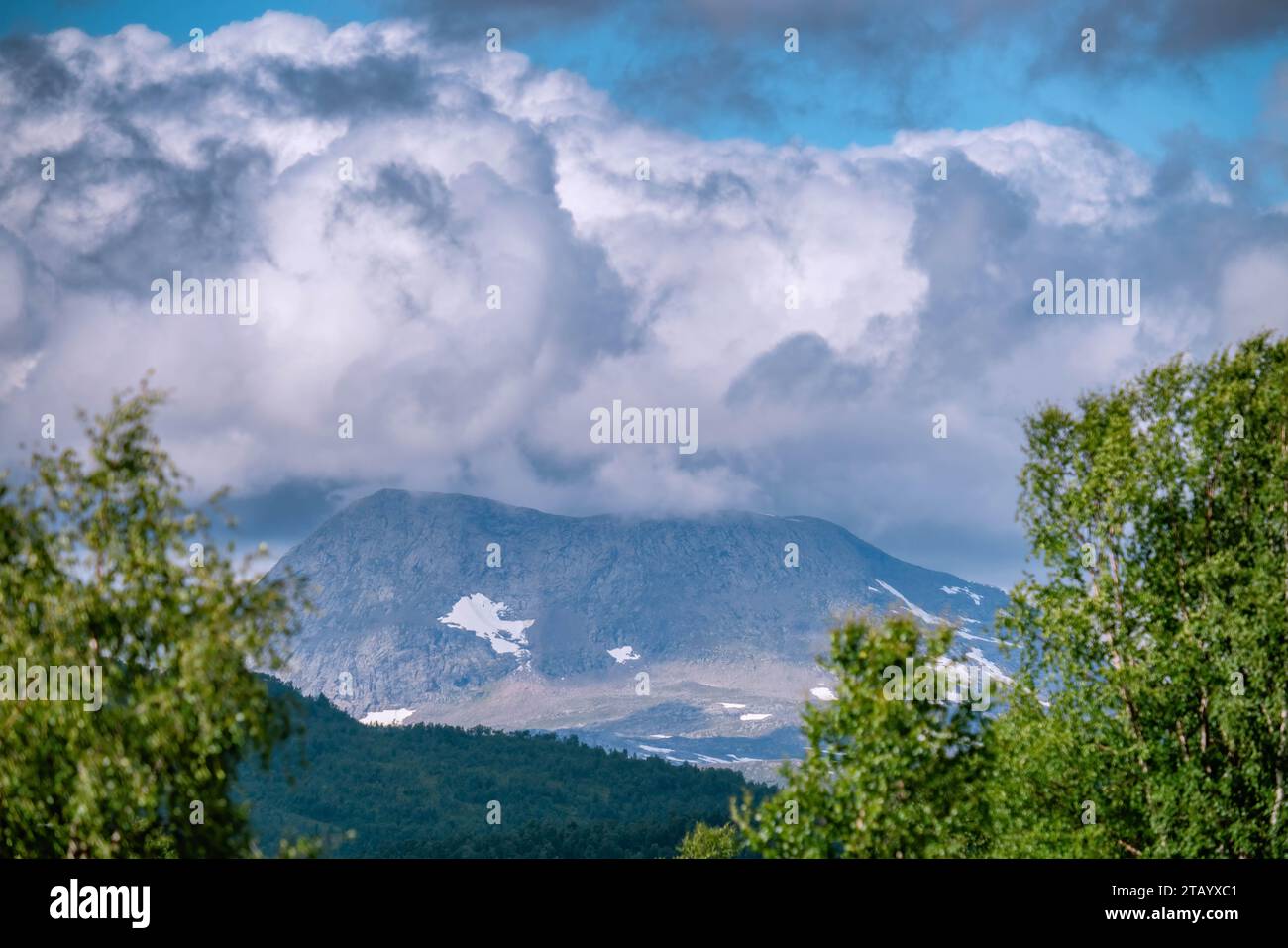 Zoomed in photo hi-res stock photography and images - Alamy