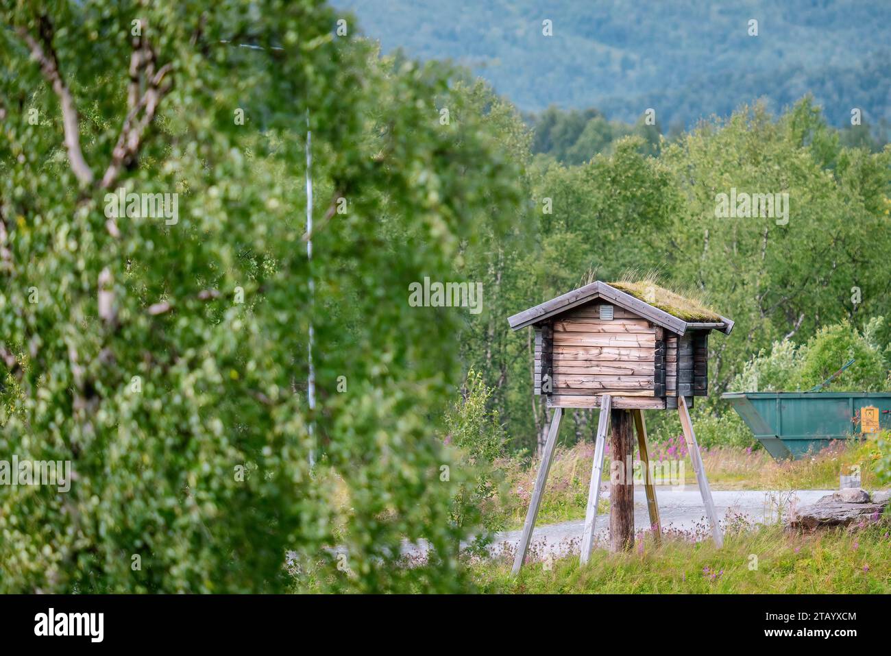A traditional Sami storage shed is built on pole to keep animals out ...