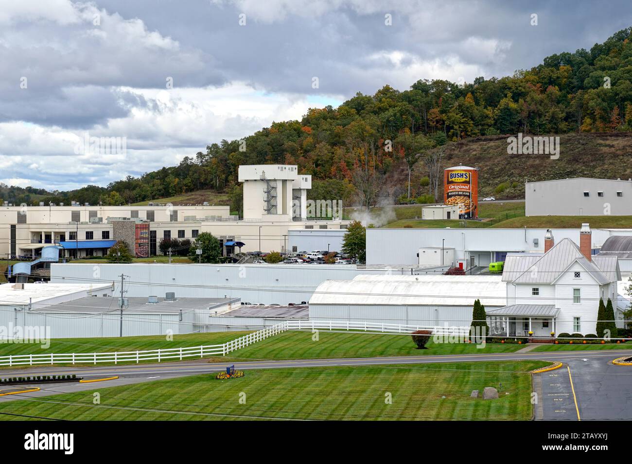 Aj bean hi-res stock photography and images - Alamy