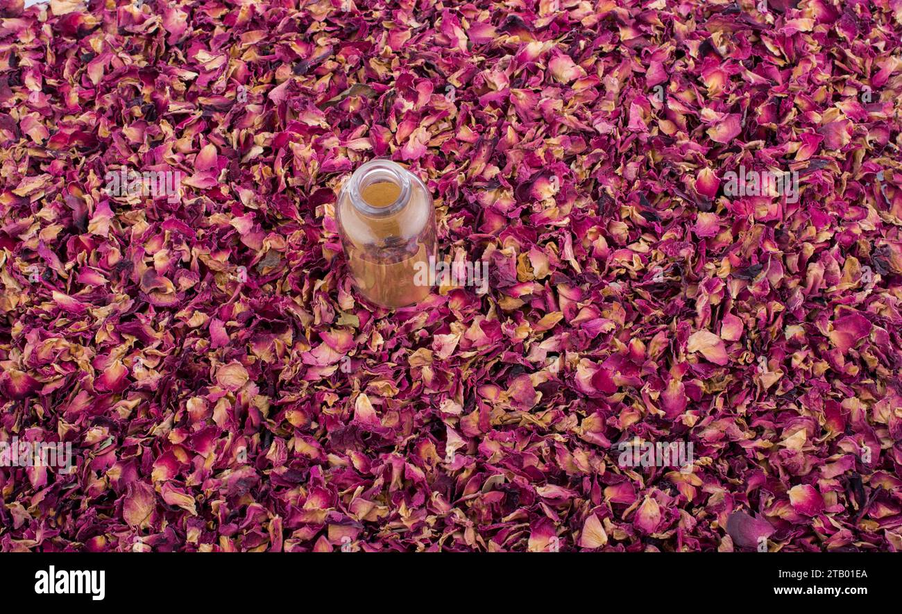 Empty bottle placed on dry rose petal background Stock Photo - Alamy
