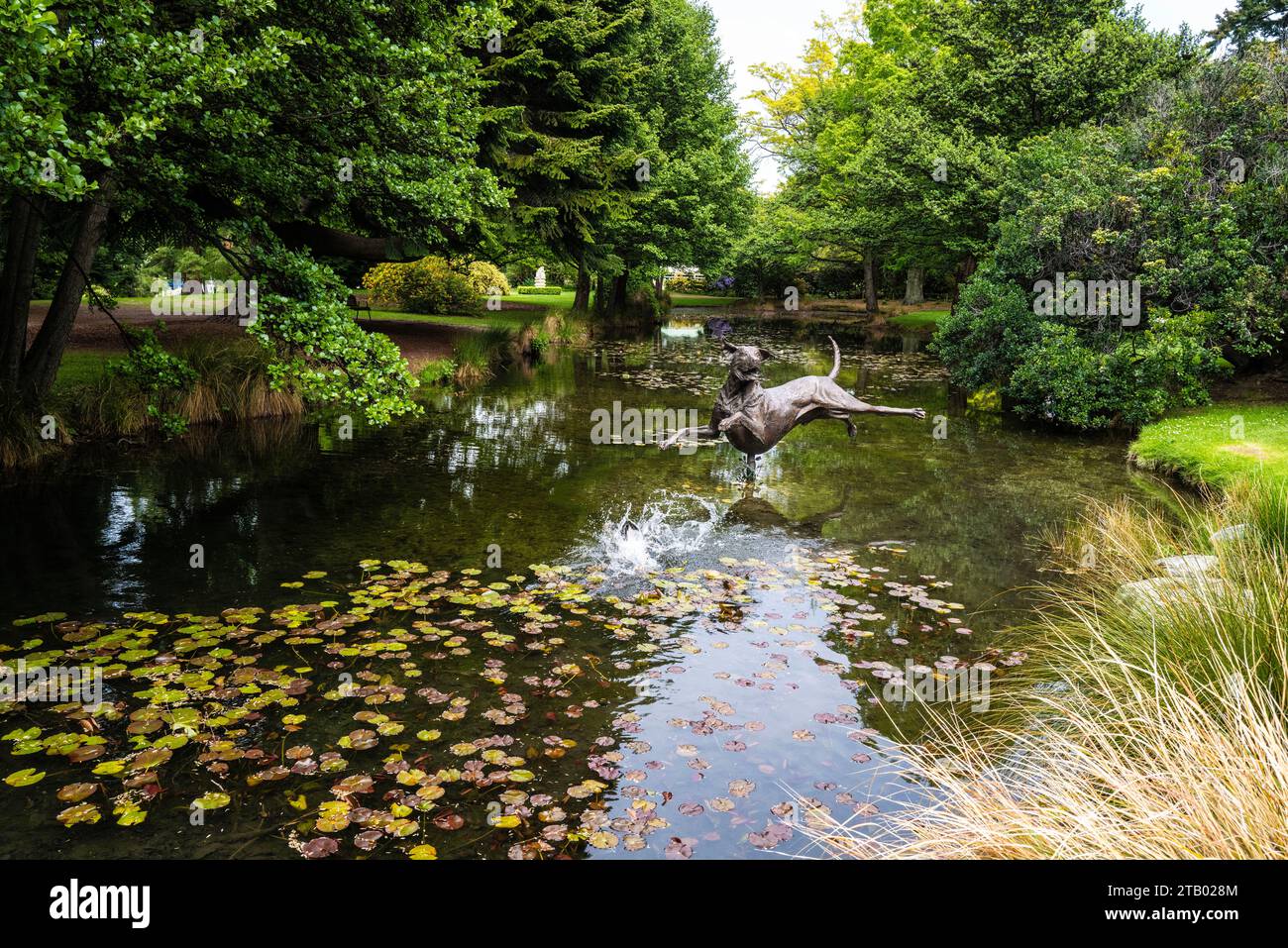 South Island of New Zealand Road Trip. Queenstown. Art work Kuri by New ...