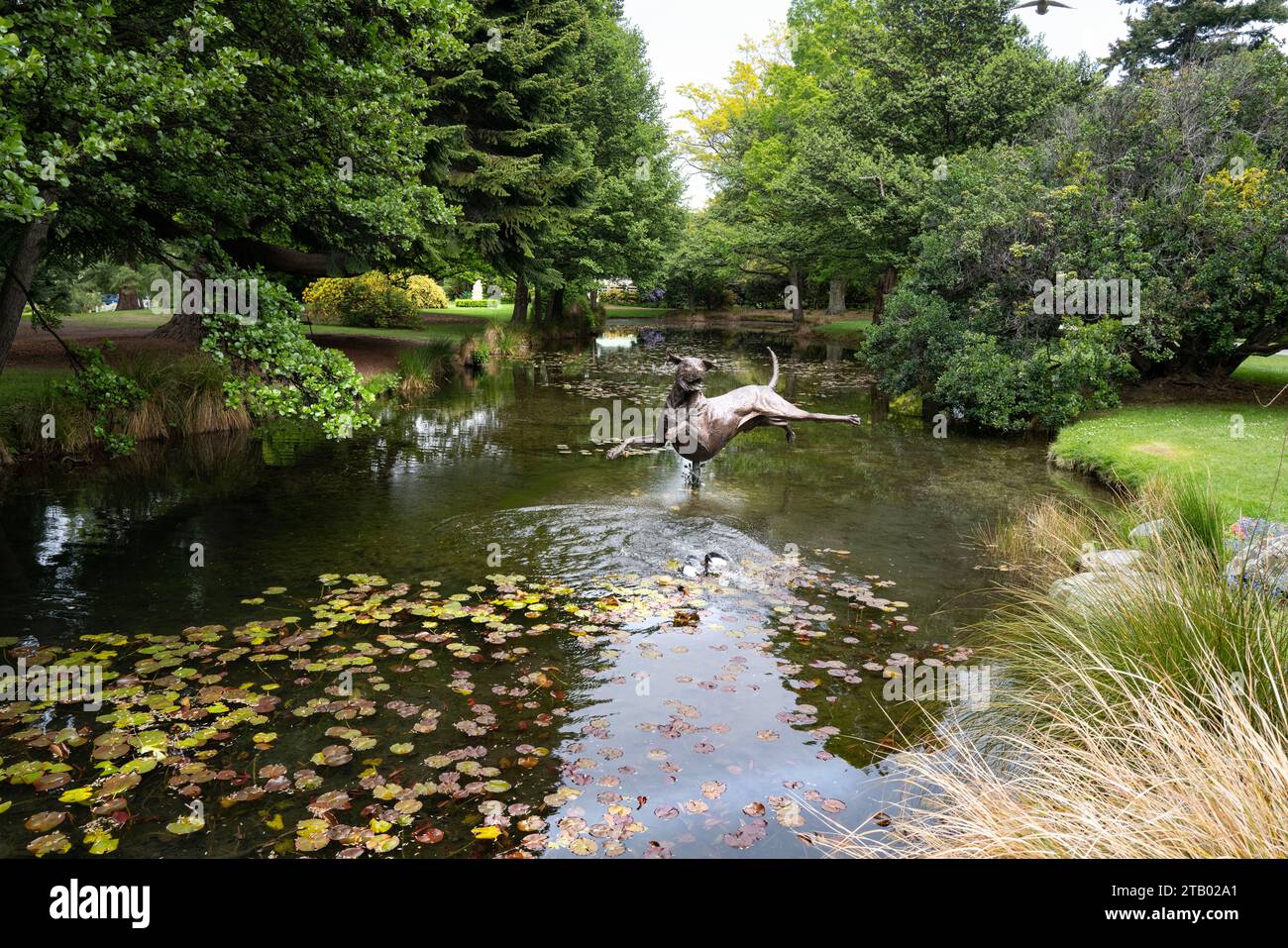 South Island of New Zealand Road Trip. Queenstown. Art work Kuri by New ...