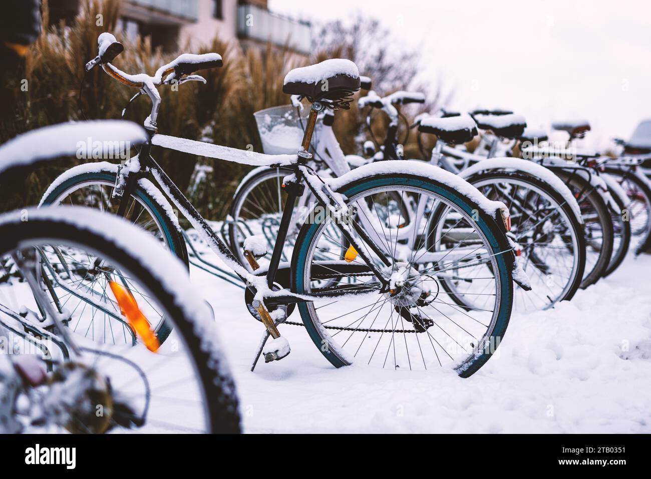The snow covered bicycles are parked in a bike rack. The bicycles are ...