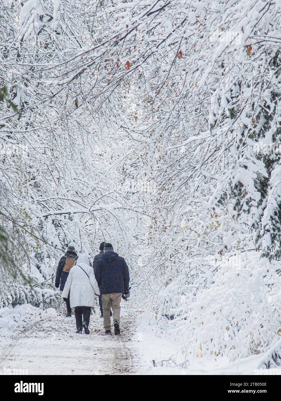 Vienna, Austria, Austria. 4th Dec, 2023. People walk through snow ...