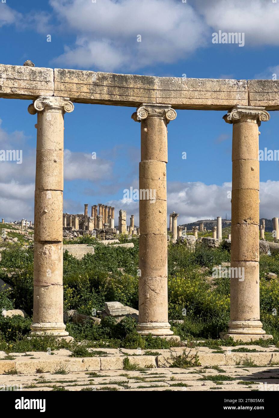 Oval portrait format hi-res stock photography and images - Alamy