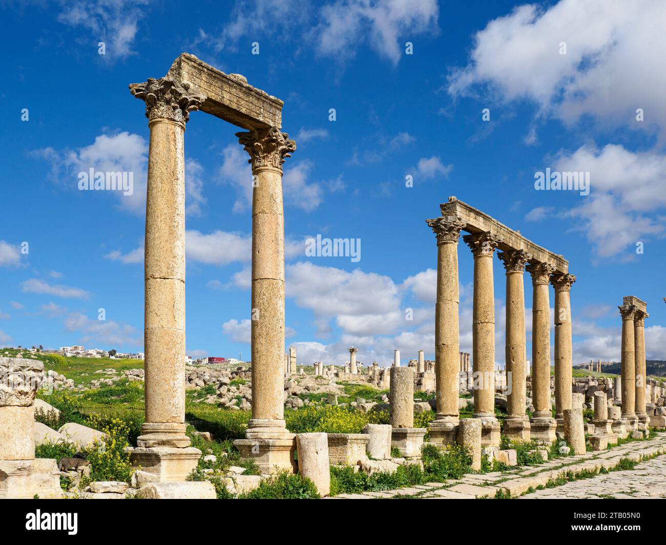 Columns in the Oval Plaza in the ancient city of Jerash, believed to be ...
