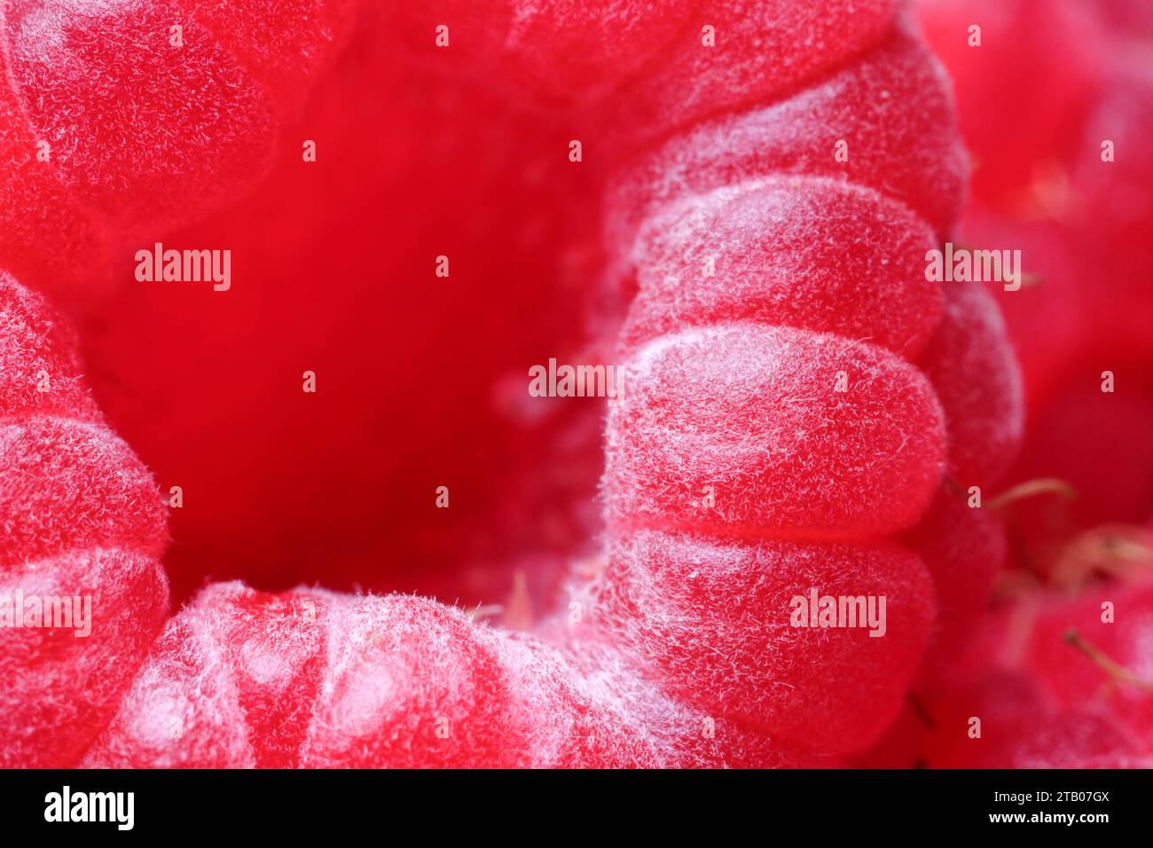 Texture of fresh ripe raspberry, macro view Stock Photo - Alamy