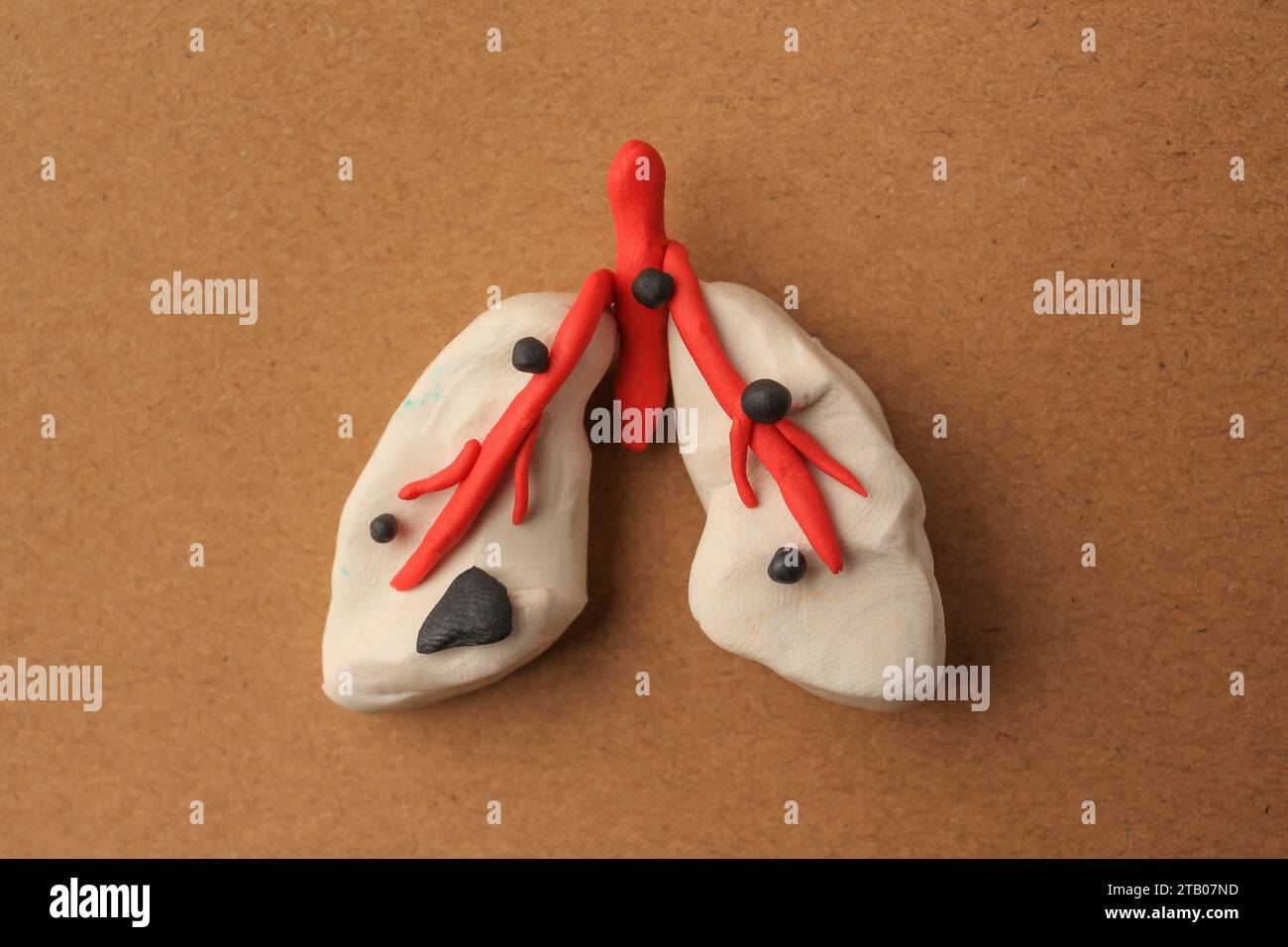Human lungs made of plasticine on light brown background, top view ...