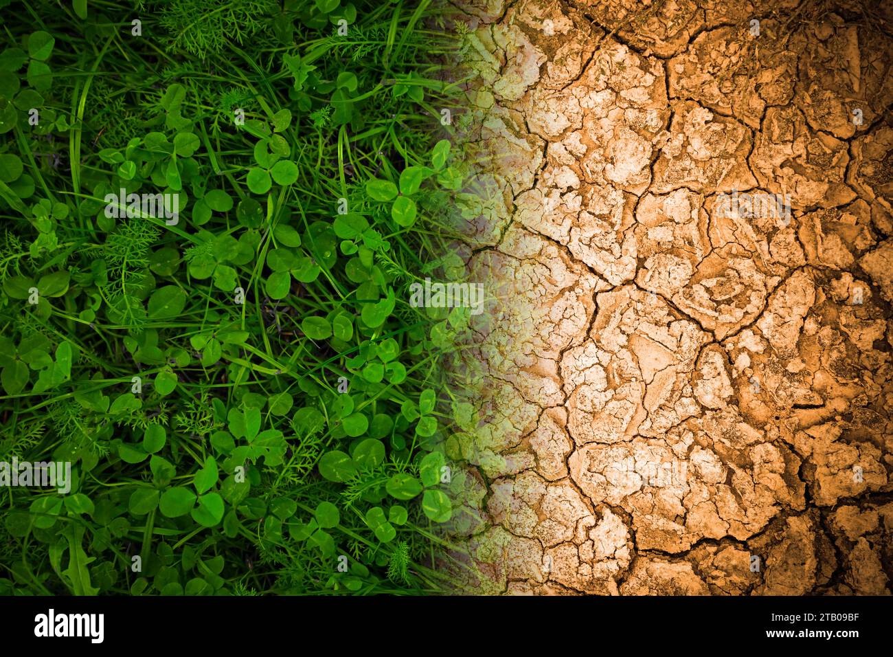 Dry cracked land and green grass, top view Stock Photo - Alamy