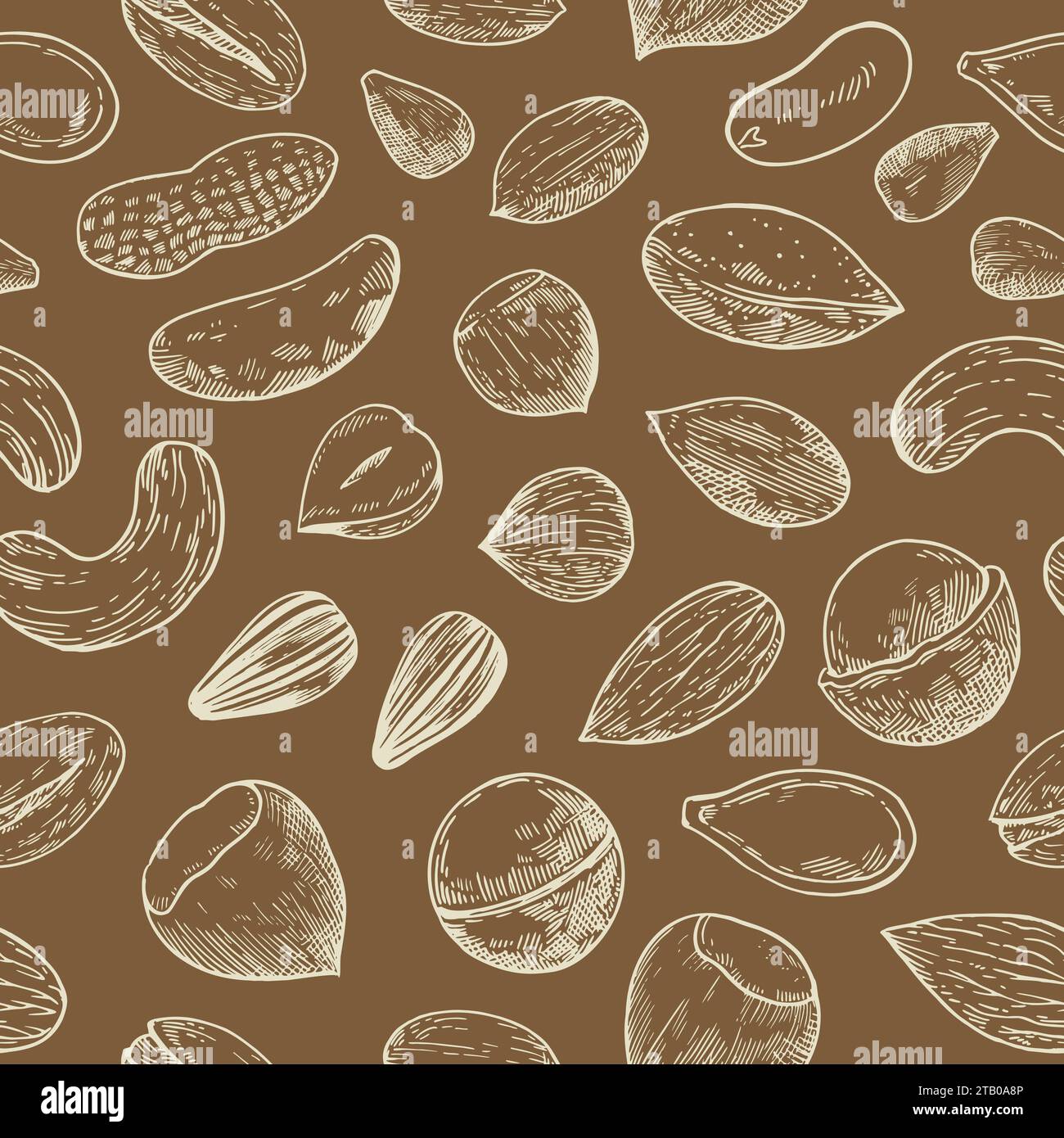 Seamless pattern with nuts and seeds. Sketch drawing in engraving style ...