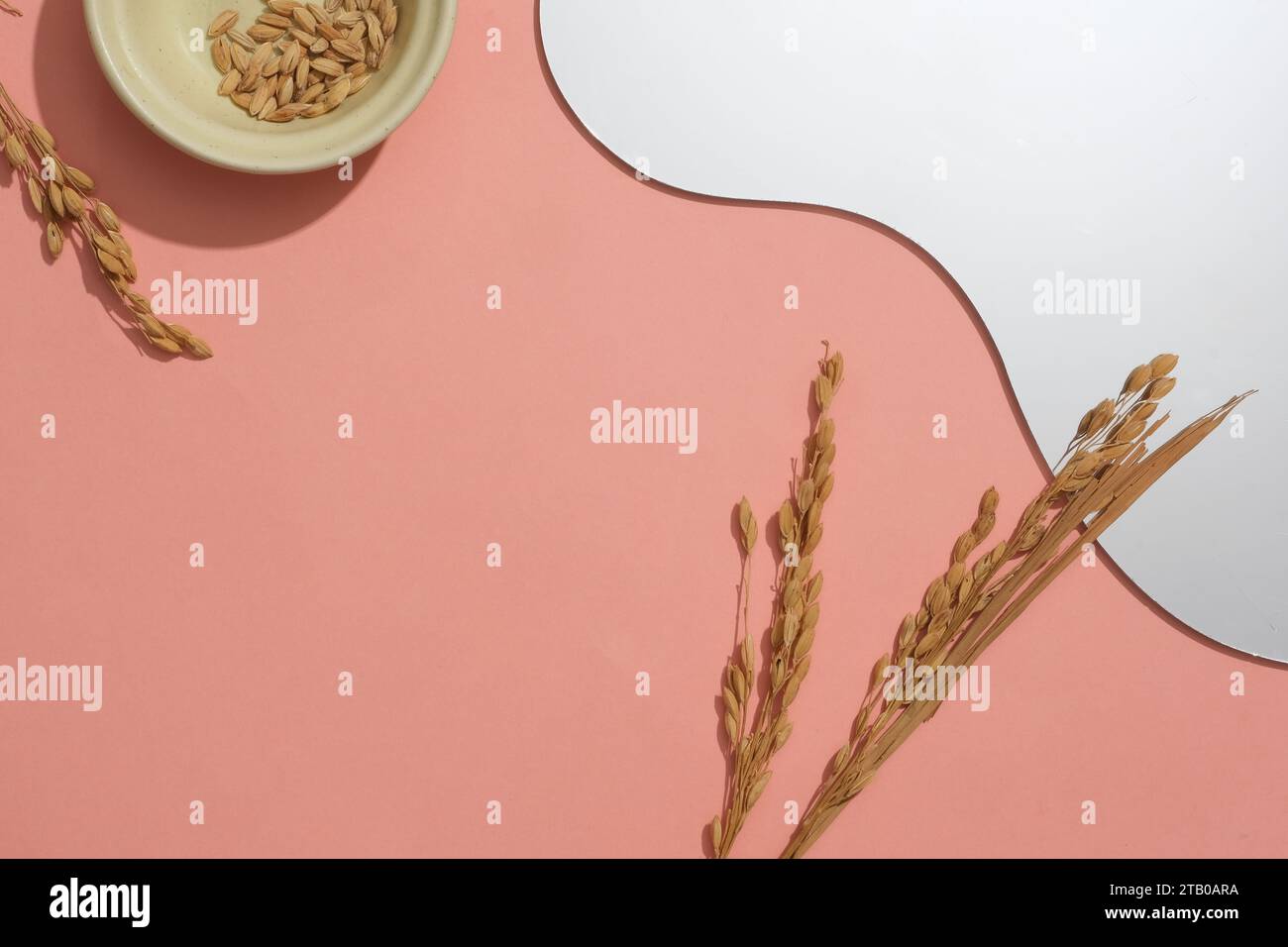Rice, ceramic plate and an acrylic sheet are decorated on a pink ...