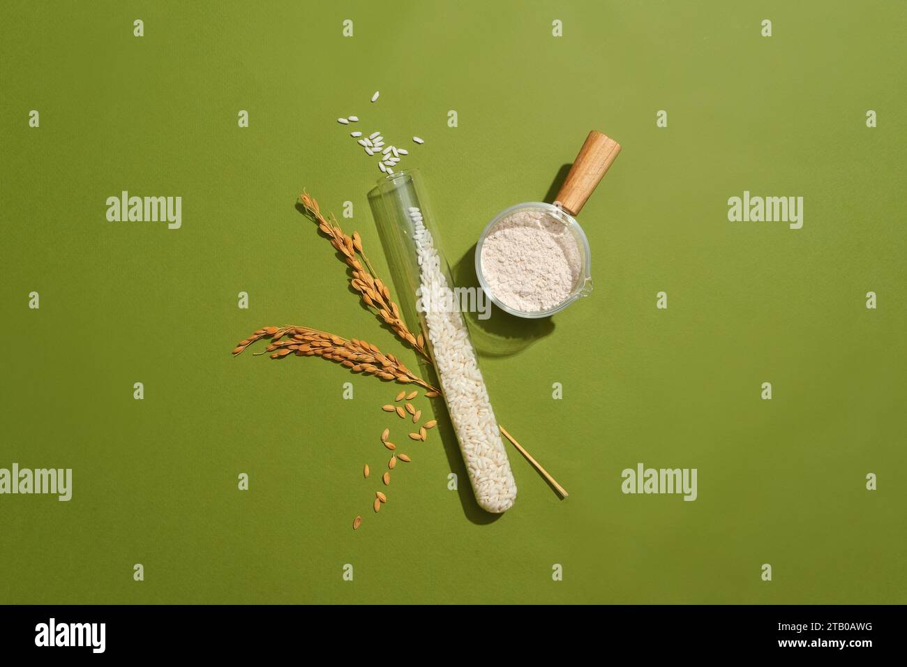 Rice flour and white rice are stored in glassware on a moss green ...