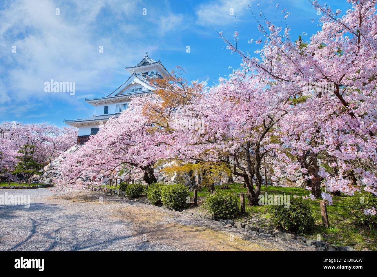 Shiga, Japan - April 3 2023: Nagahama Castle built by feudal lord ...