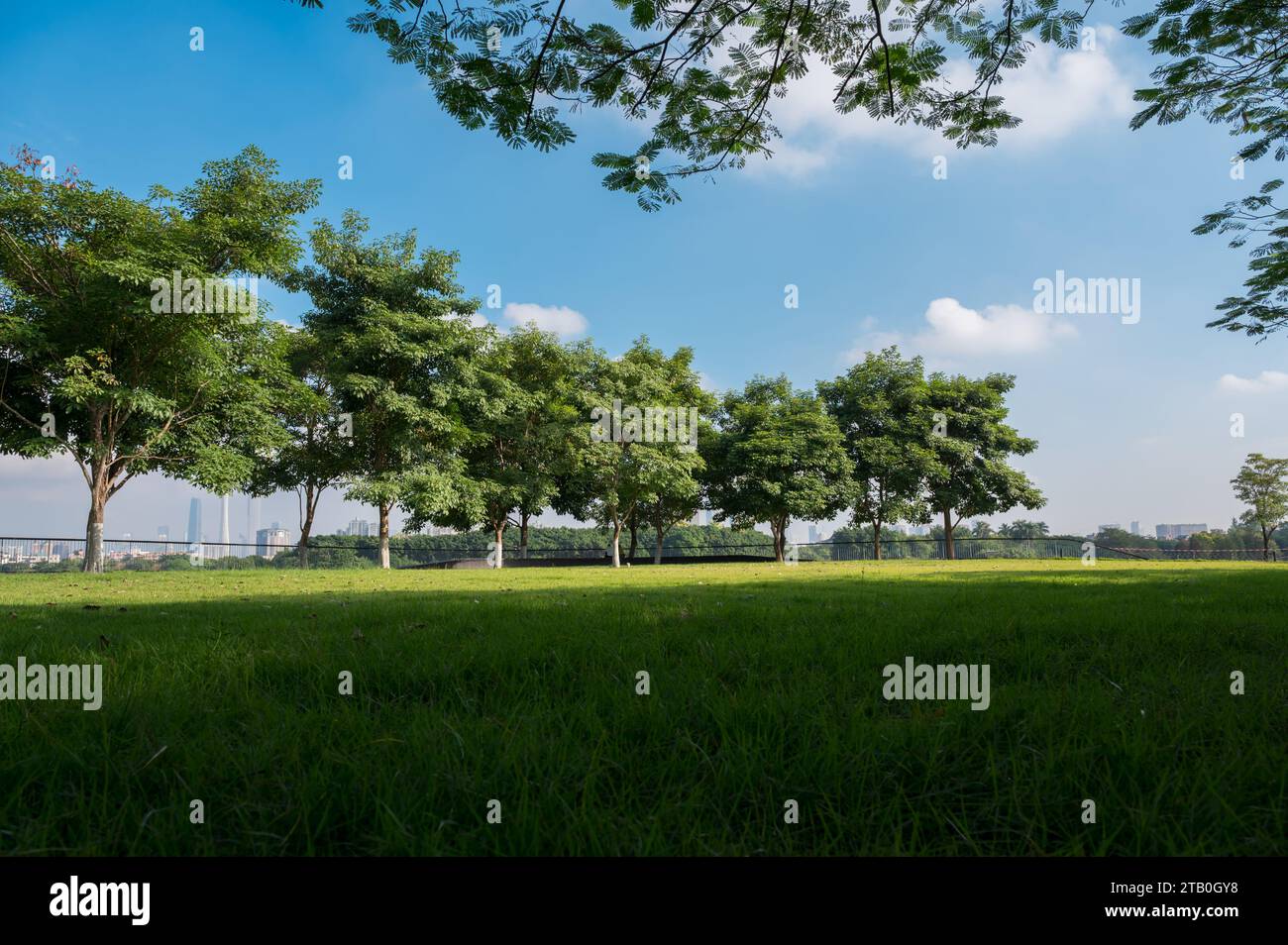 The park had open grassy areas Stock Photo - Alamy