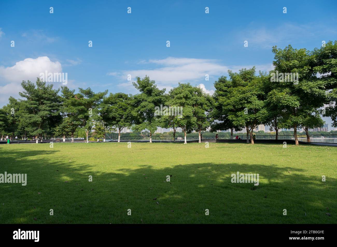 Open grassy areas hi-res stock photography and images - Alamy