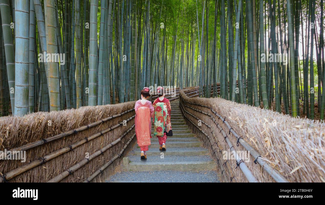 A Bamboo Grove at Adashino Nenbutsuji Temple in Kyoto, Japan Stock ...