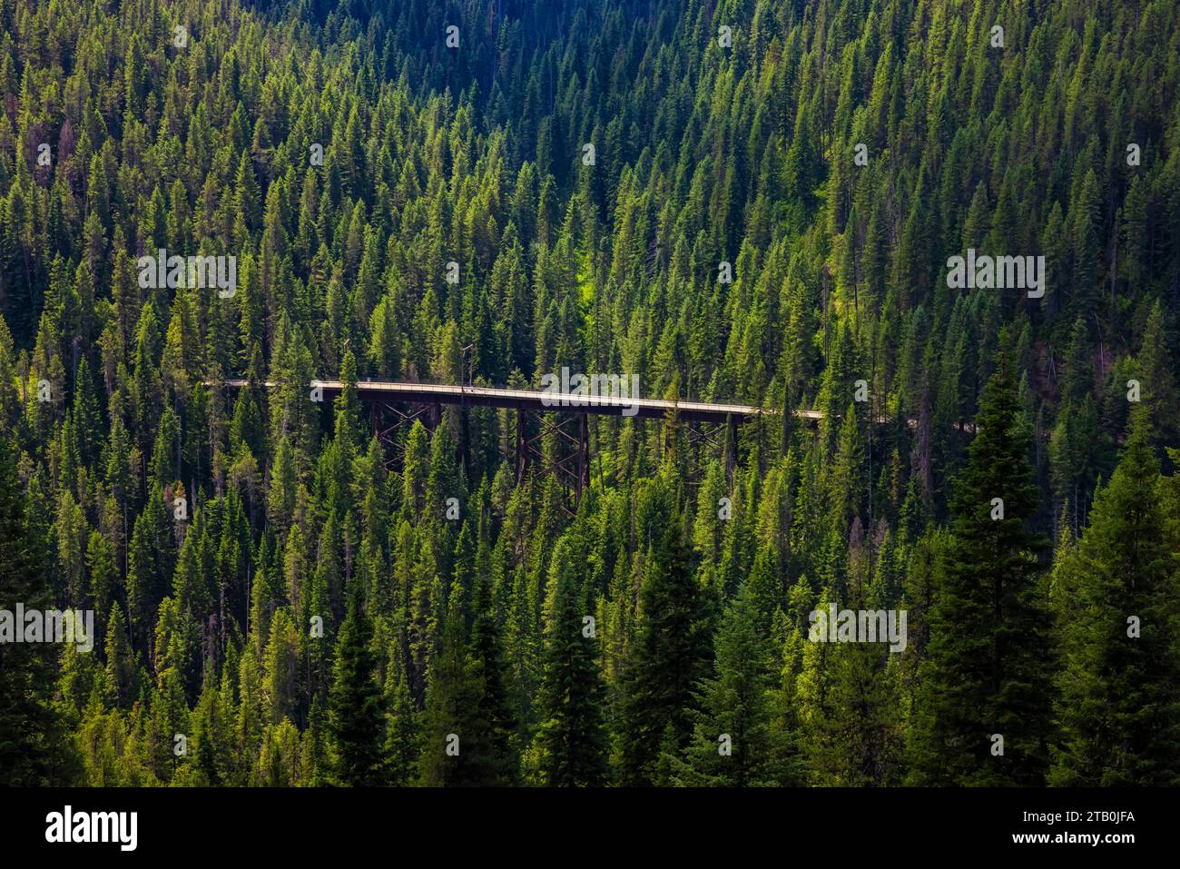 Long railroad trestle along Hiawatha Scenic Bike Trail, Montana and ...
