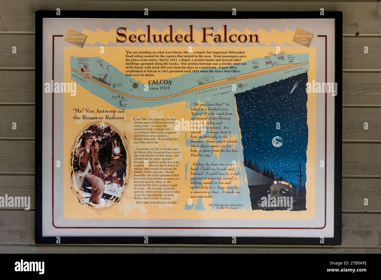 Falcon train hi-res stock photography and images - Alamy