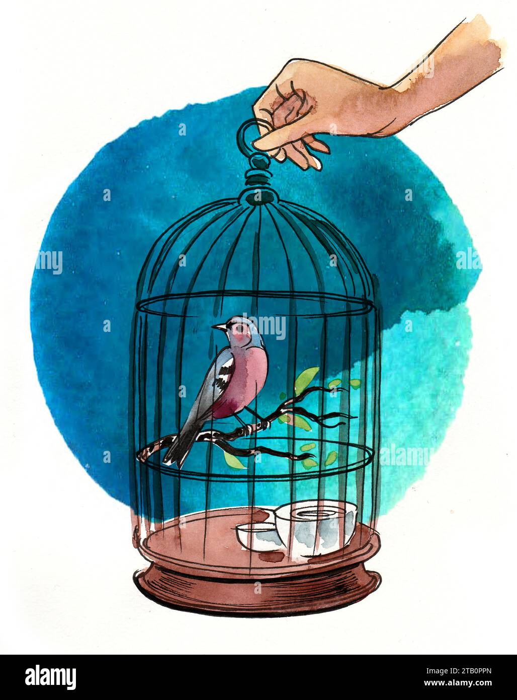 Vintage illustration bird cage Cut Out Stock Images & Pictures - Alamy