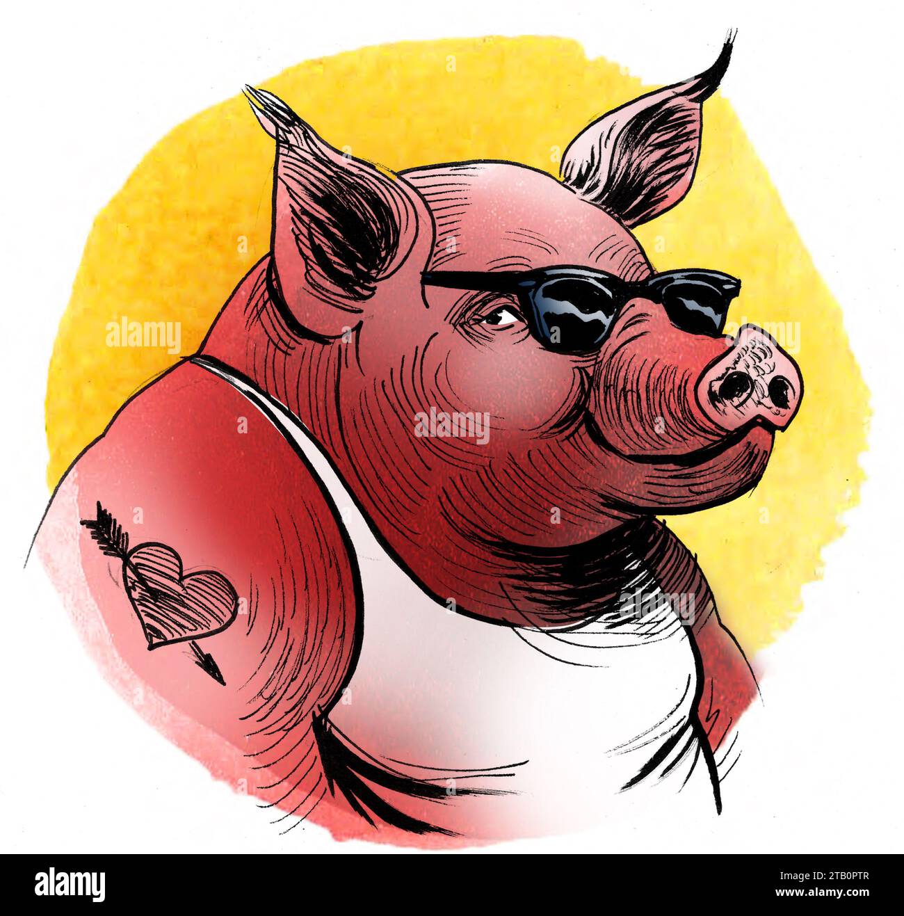 Cool pig in sunglasses. Hand-drawn ink and watercolor sketch Stock ...