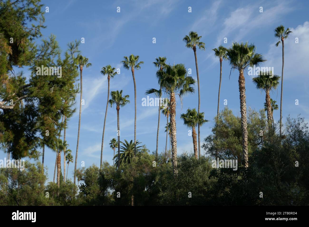 Los Angeles, California USA 3rd December 2023 Memorial & Inurnment ...