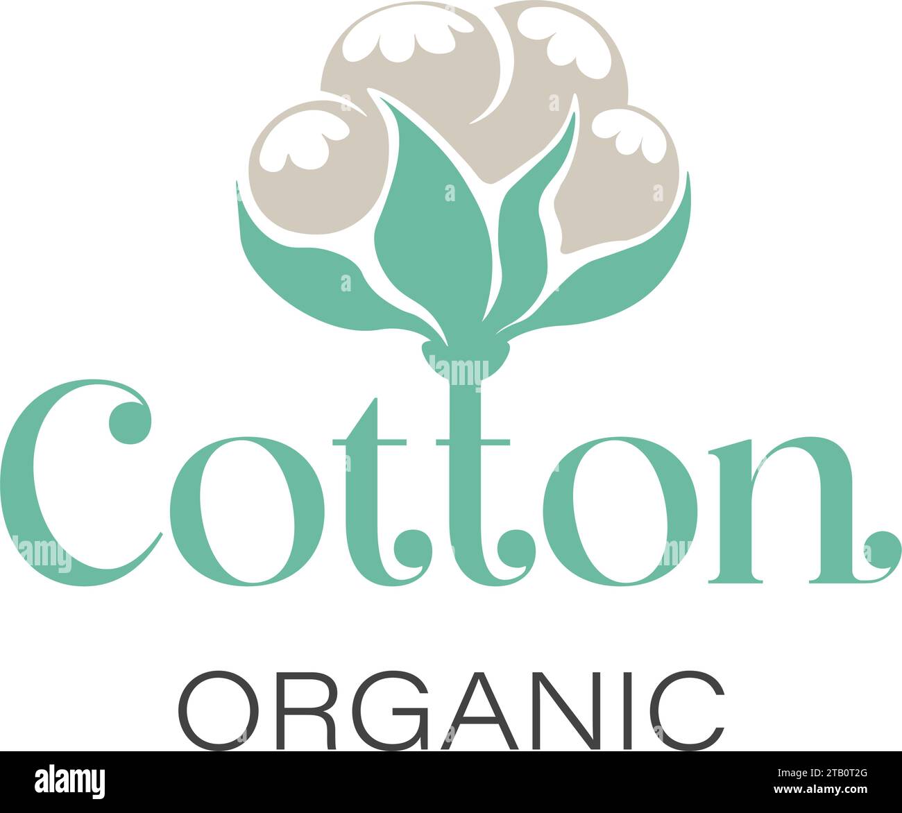 Cotton organic natural textile stable fiber vector Stock Vector Image ...
