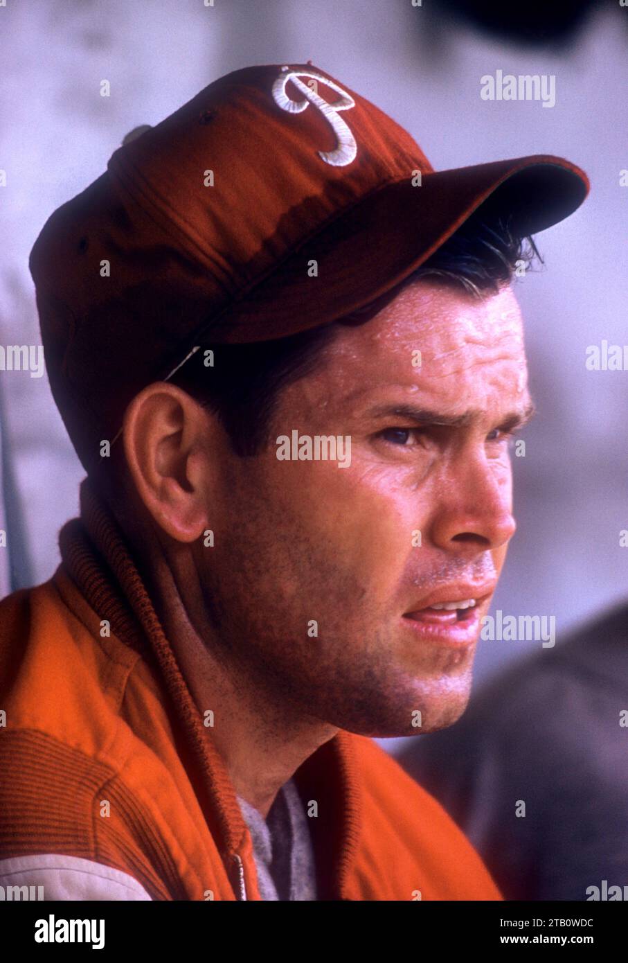 FL - MARCH, 1956: Pitcher Robin Roberts #36 of the Philadelphia ...