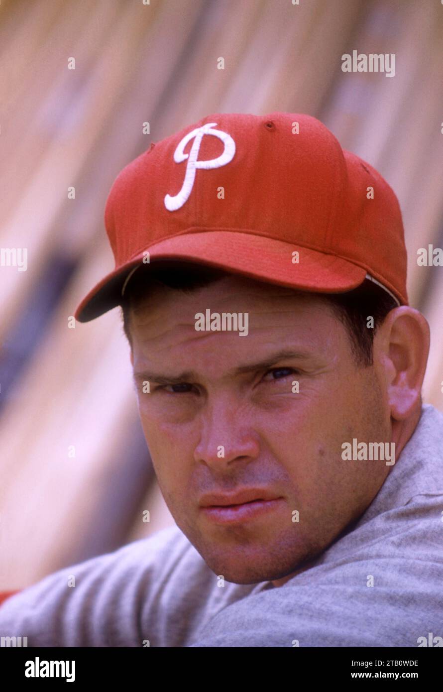 FL - MARCH, 1956: Pitcher Robin Roberts #36 of the Philadelphia ...