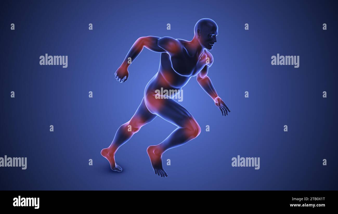 Joints in the human body Stock Photo - Alamy
