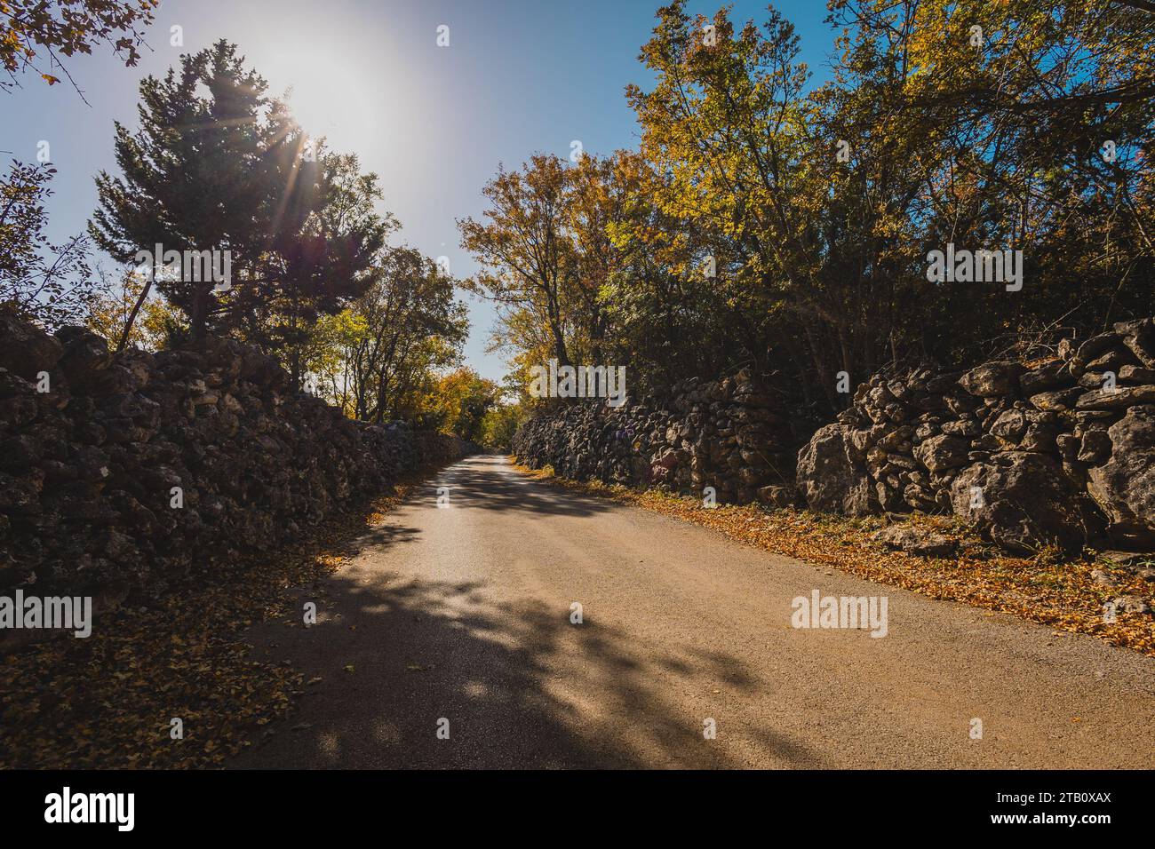 Typical rural road surrounded by stone walls to protect from the wind ...