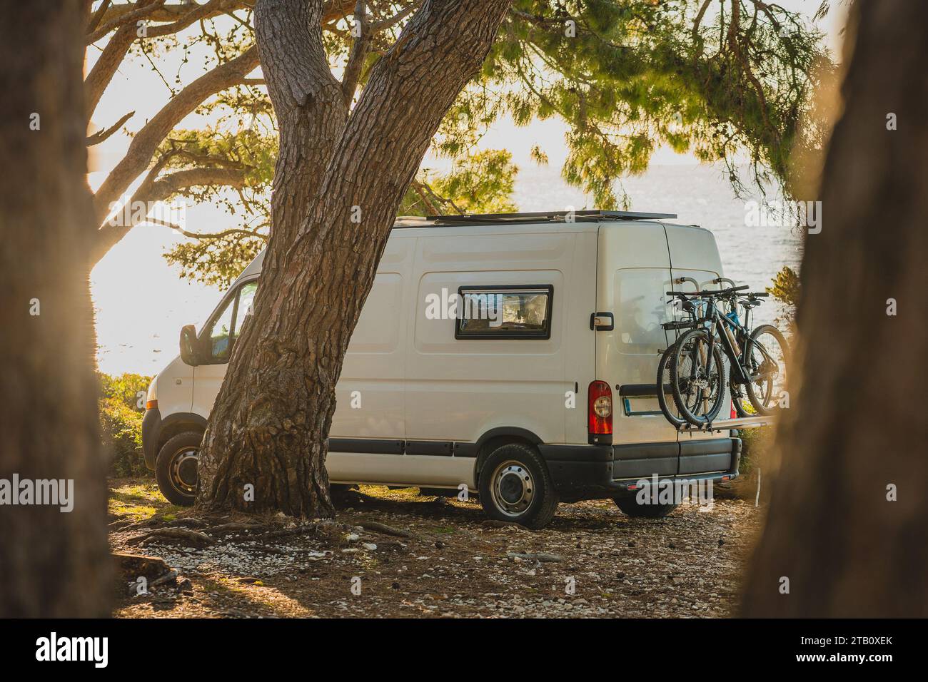Living the vanlife. White van camper parked on the beach, nice trees ...