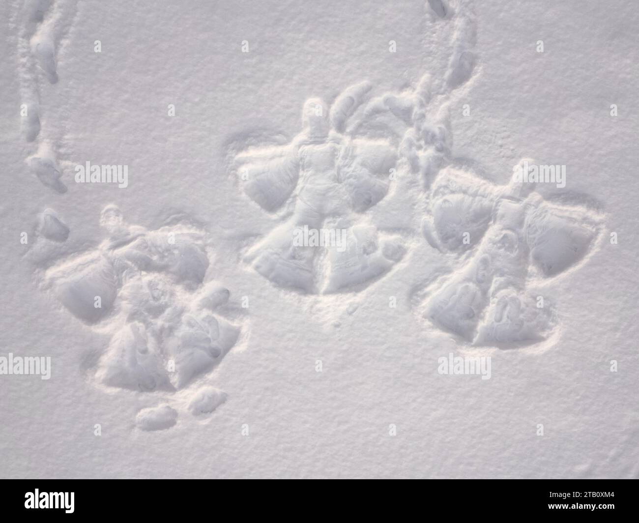 Aerial top view three people hi-res stock photography and images - Alamy