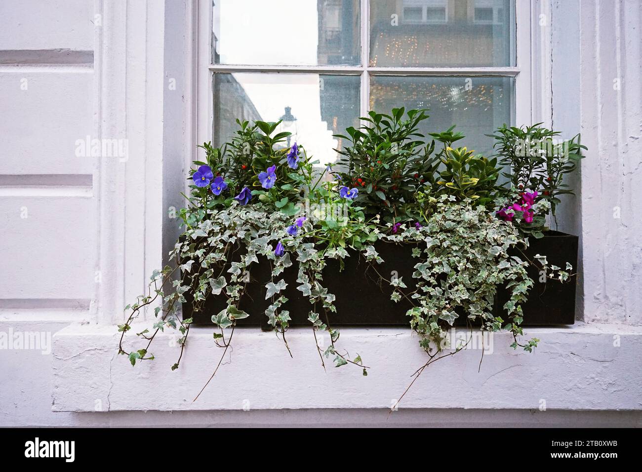 White window box decorated with colorful flower pots Stock Photo - Alamy