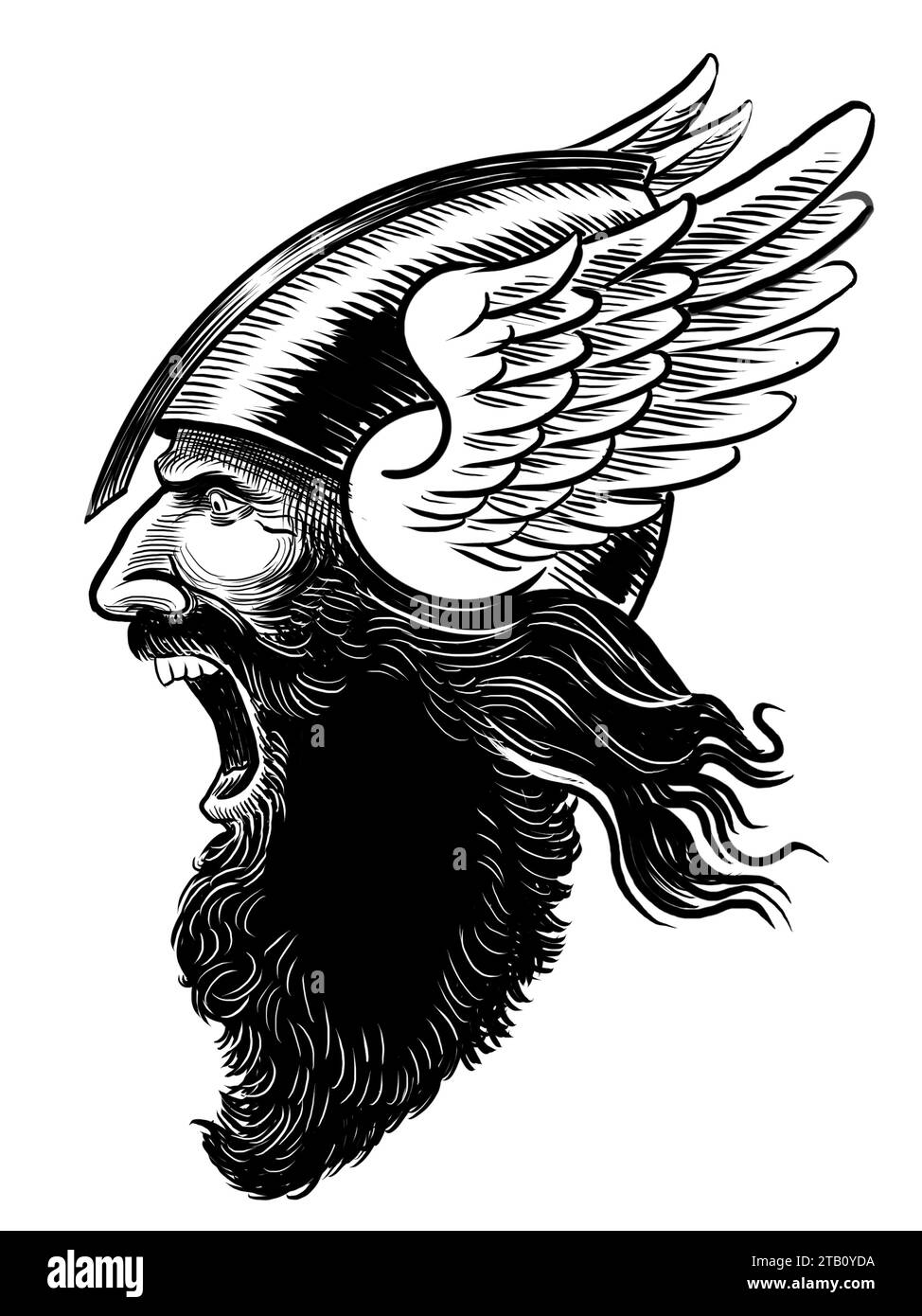 Angry Viking head. Hand-drawn black and white illustration Stock Photo ...