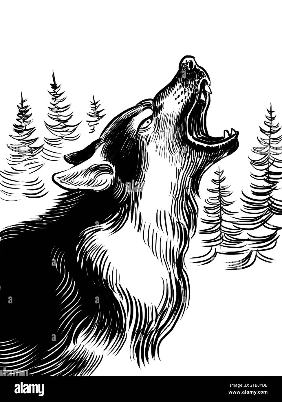 Howling wolf. Hand-drawn black and white illustration Stock Photo - Alamy