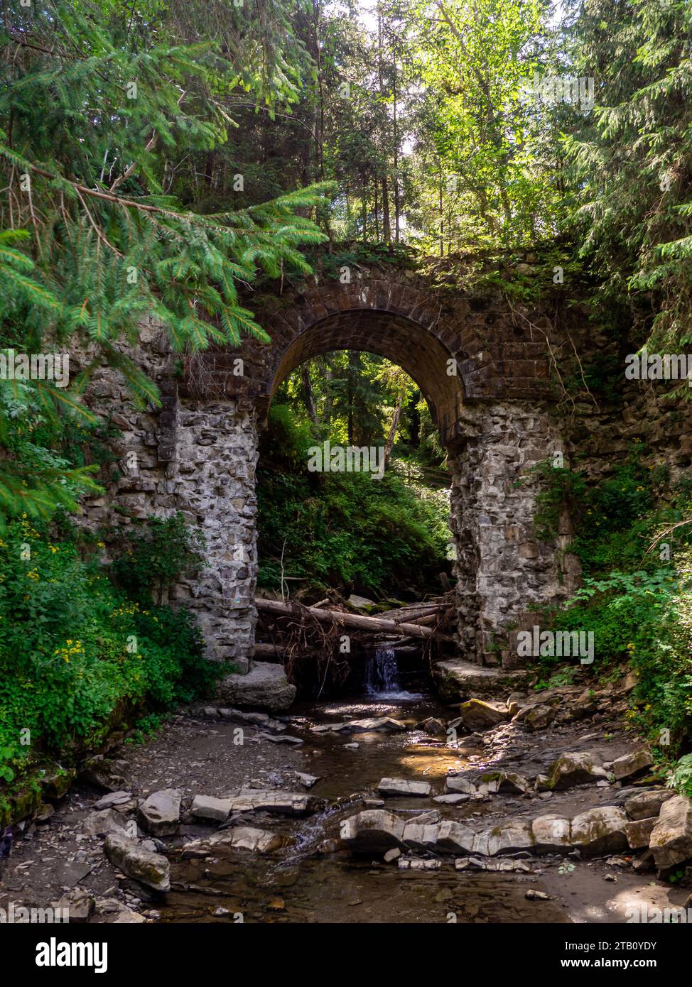 Old stone arched destroyed bridge over small river in a mountain forest ...