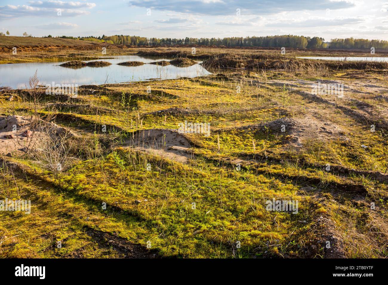 Landscape of an overgrown sand quarry with green moss Stock Photo - Alamy