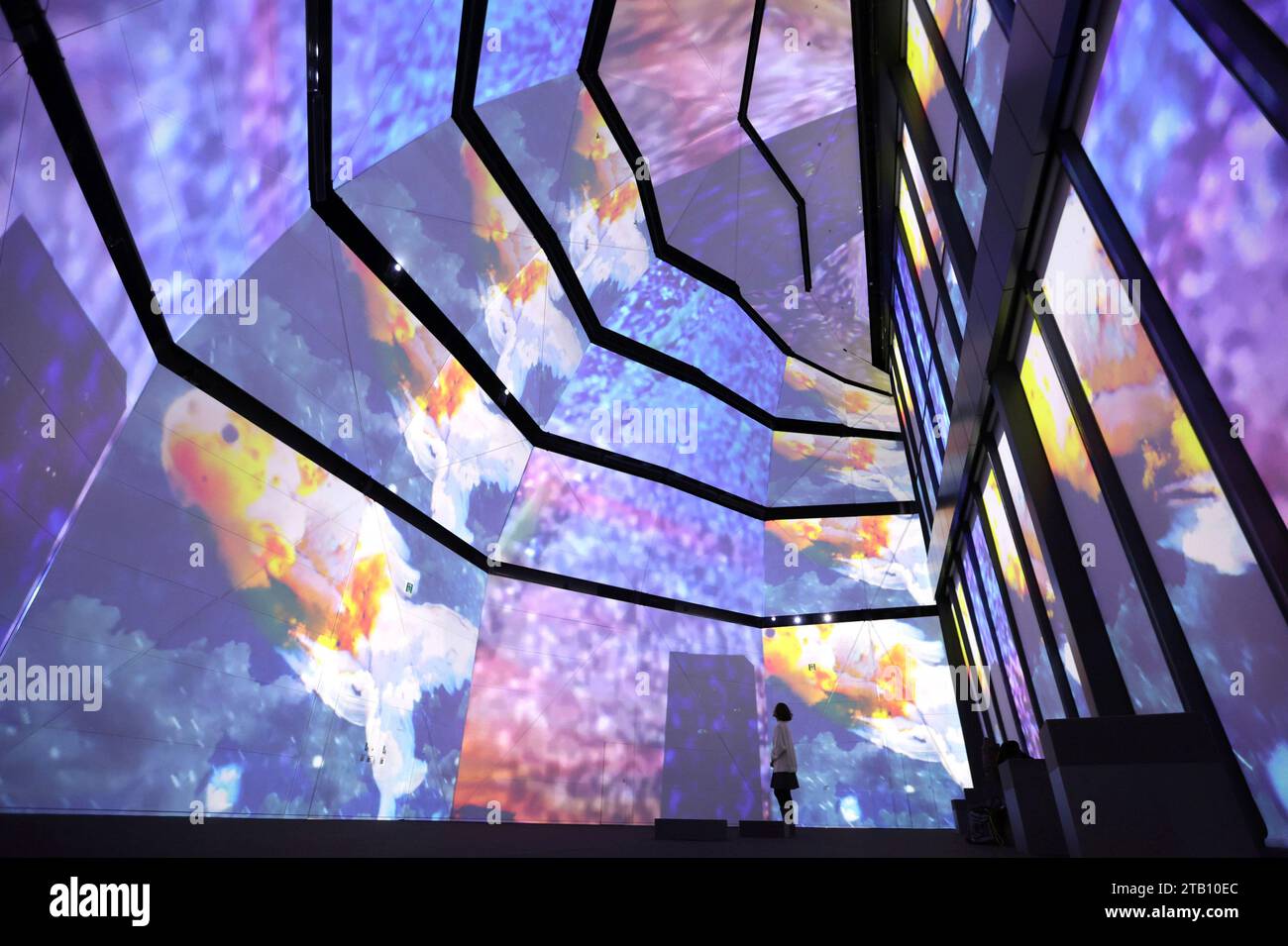 Works created by Japanese photographer and film director Mika Ninagawa ...