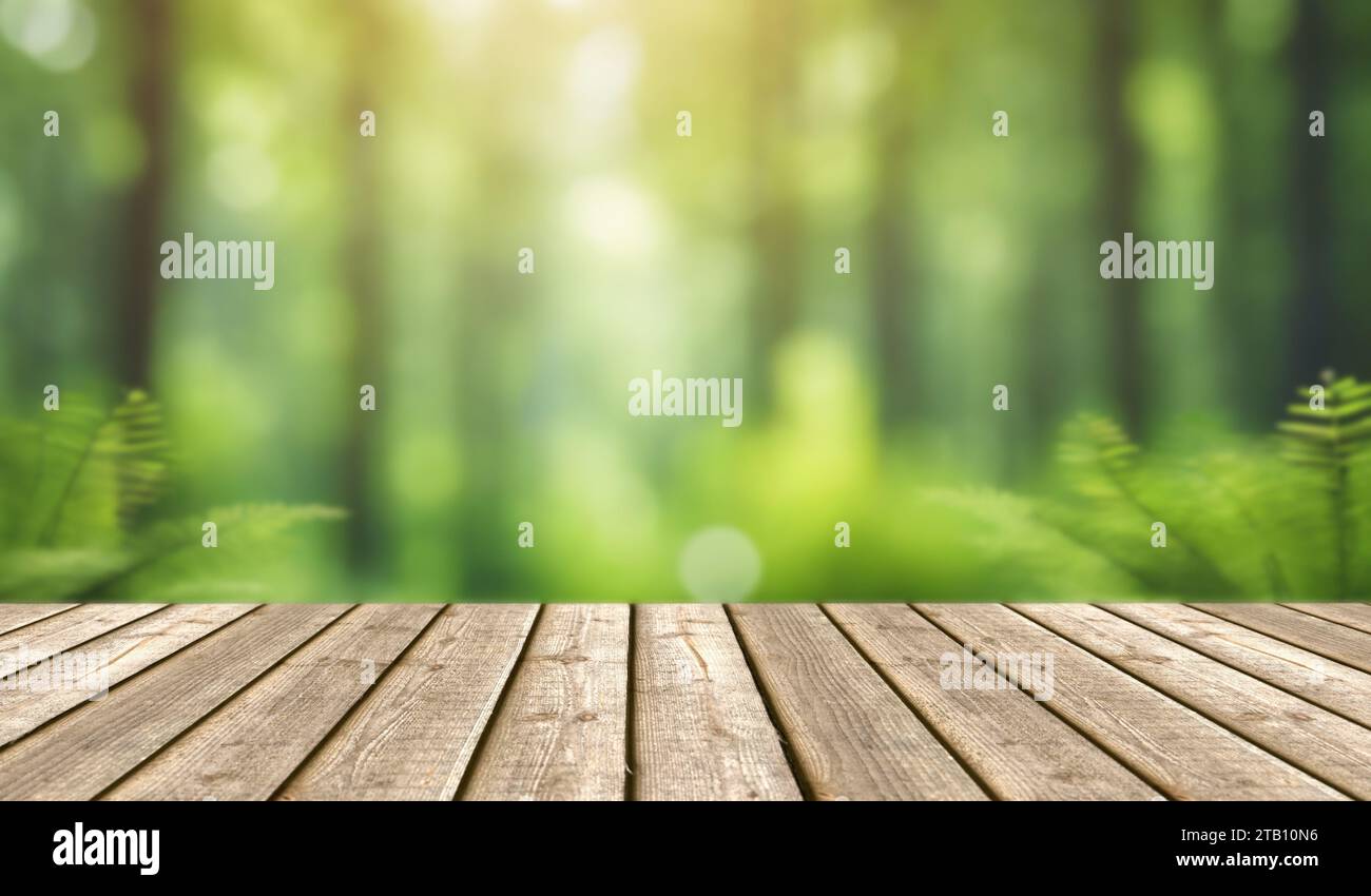 Blank or empty rustic wooden platform with forest or greenery ...