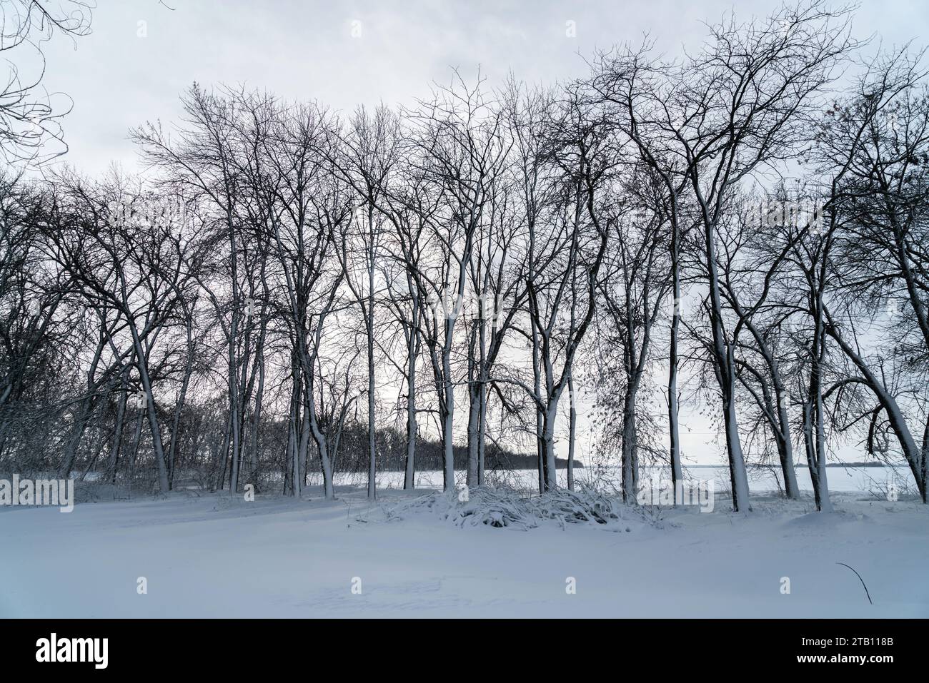 Country winter landscape everything hi-res stock photography and images ...