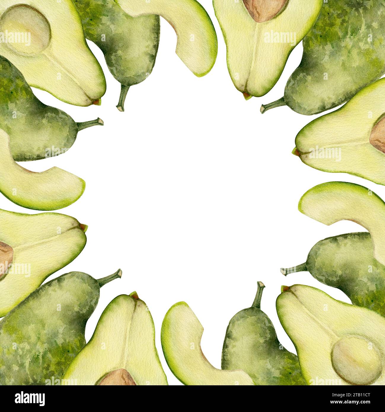 Hand drawn watercolor green avocado vegetable for diet and healthy ...