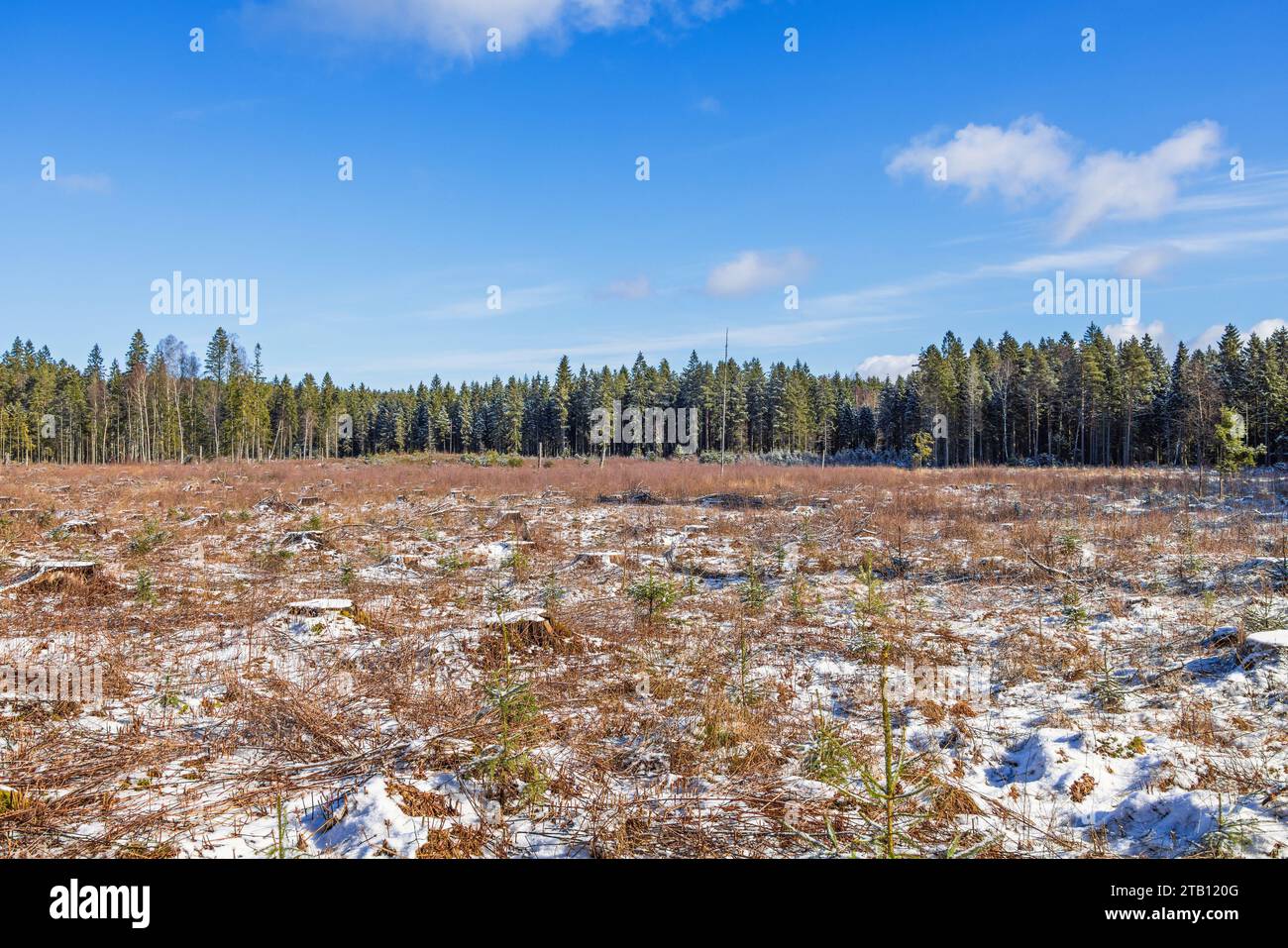 Clearing plantation hi-res stock photography and images - Alamy