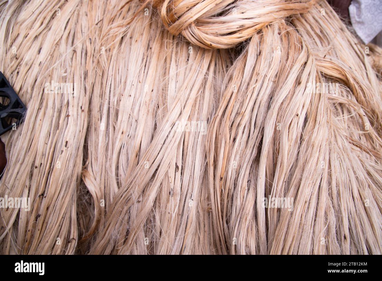 Wallpaper fiber hi-res stock photography and images - Alamy