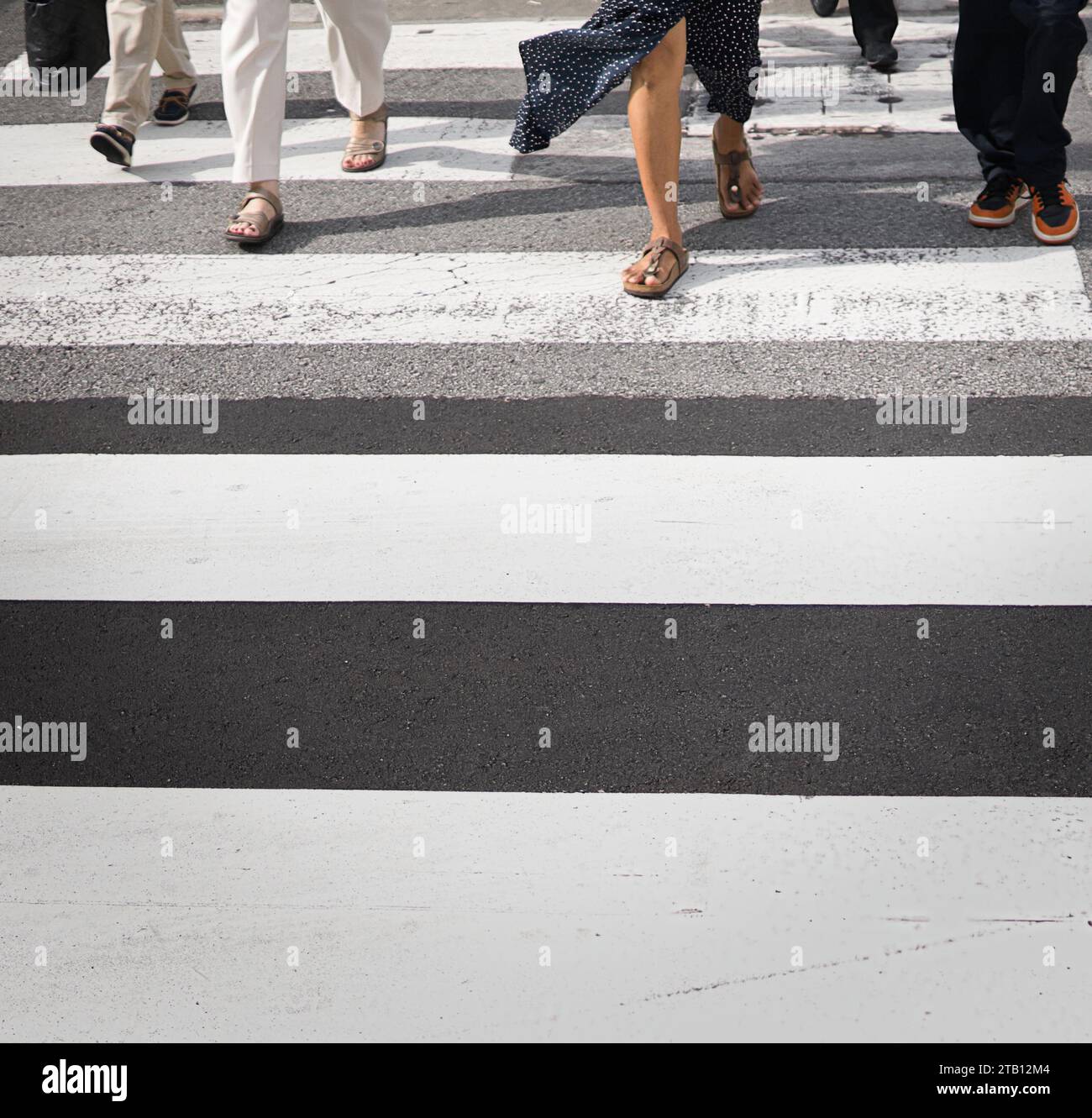 Feet of people walking on a zebra crossing, with half of the crossing ...