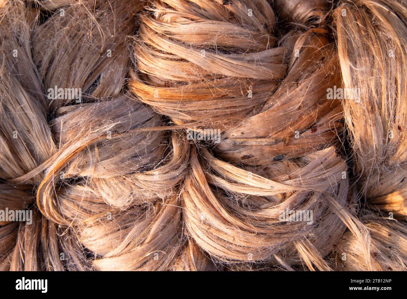 A thick Golden bundle of raw jute fiber Pattern Texture Can be used as ...