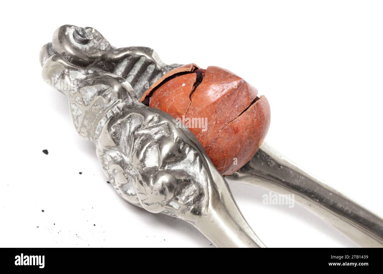 Large nut with vintage nutcracker, isolated on white Stock Photo - Alamy